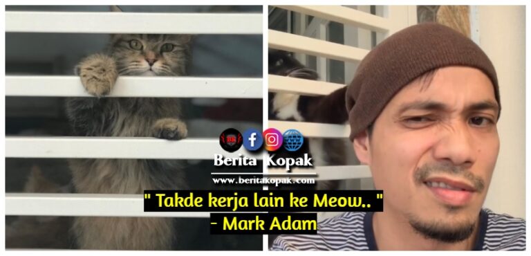 Takde kerja lain ke Meow.. ” - Mark Adam | Berita Kopak CC