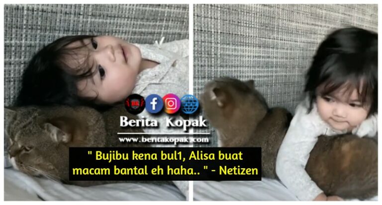 Bujibu kena bul1, Alisa buat macam bantal eh haha.. ” - Netizen ...