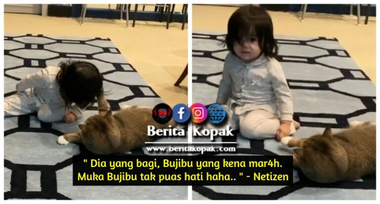 Dia yang bagi, Bujibu yang kena mar4h.. ” - Netizen | Berita Kopak CC