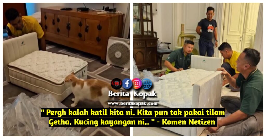 Pergh kalah katil kita ni. Kita pun tak pakai tilam Getha. Kucing ...